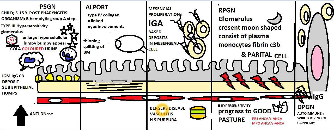 GI/GU – Next Generation Combat Medic